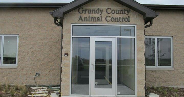 Grundy Co. Animal Control Director Hired as Newest Human Resources ...