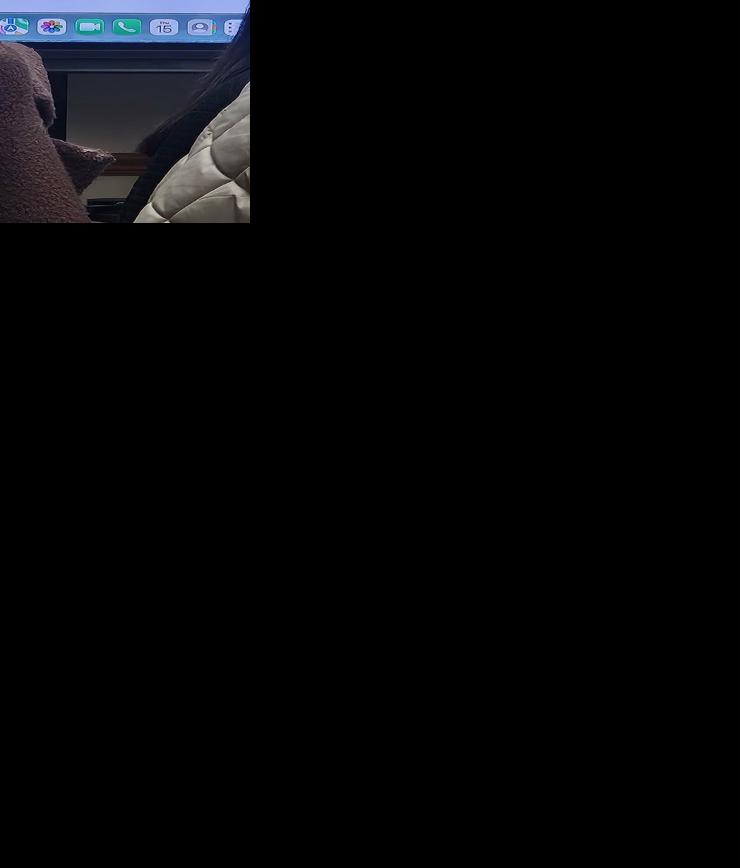 Selection For New Morris High School Mascot Down To Final Six Following ...