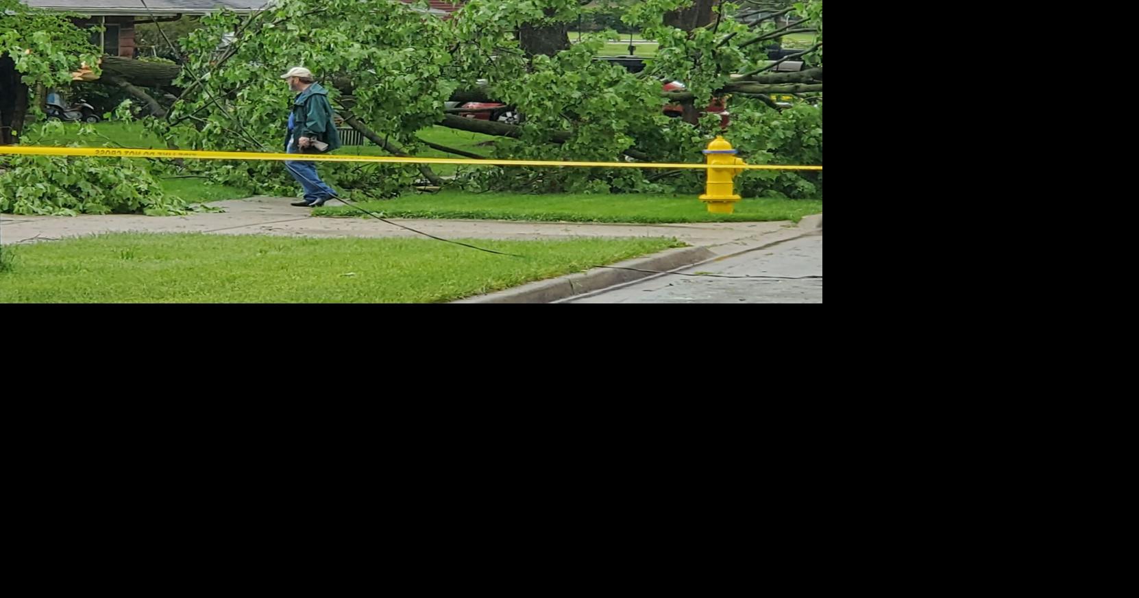 Minooka Trustees Approve Contracts For Landscaping & Tree Services ...