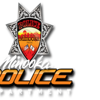 Minooka Police Chief Provides 2017 Department Highlights | Local News ...