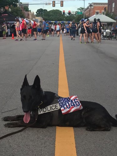 Over 500 Runners Participate In Annual Liberty 5K Run/Walk | Local News ...