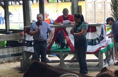 Husband and wife duo give two perspectives on beef judging at Sandwich ...