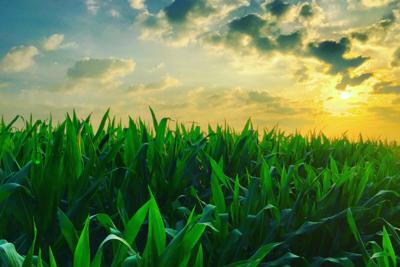 University of Illinois Extension Grundy Events | Local News | wcsjnews.com