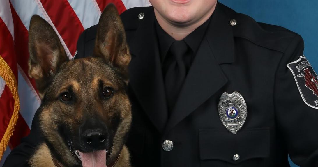 Morris Police Officer & Civilian Save Man From Drowning in Illinois ...