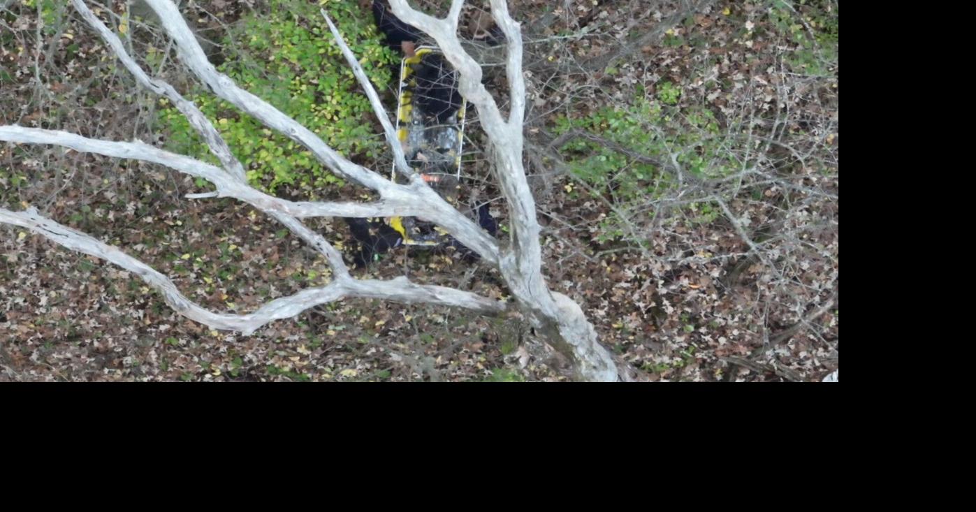 Hunter Rescued After Falling From Tree | Local News | wcsjnews.com