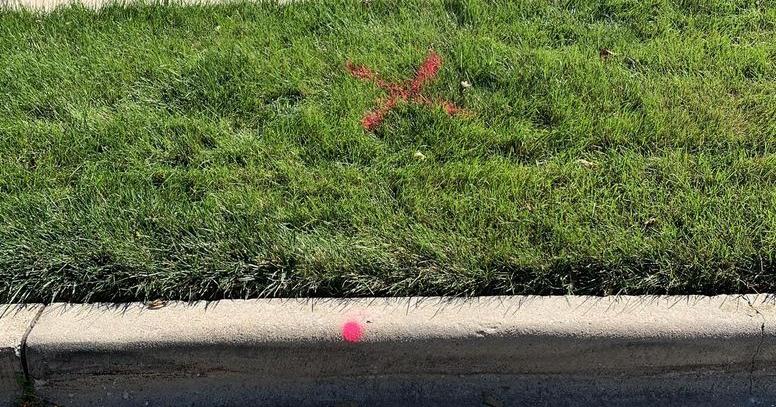 Several New Trees Will Be Planted in Channahon & Minooka | Local News ...