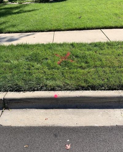 Several New Trees Will Be Planted in Channahon & Minooka | Local News ...