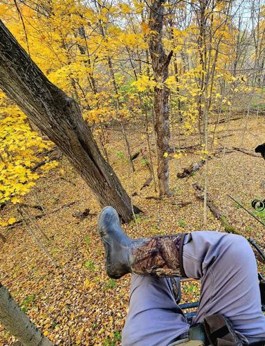 Prioritizing Tree Stand Safety During Deer Season | Local News ...