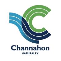 Village of Channahon Unveils New Logo, Mayor Reacts To Residents ...