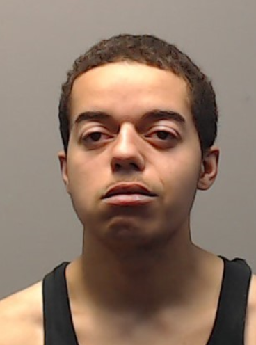 Channahon Teenager Accused of Discharging Firearm | Local News ...