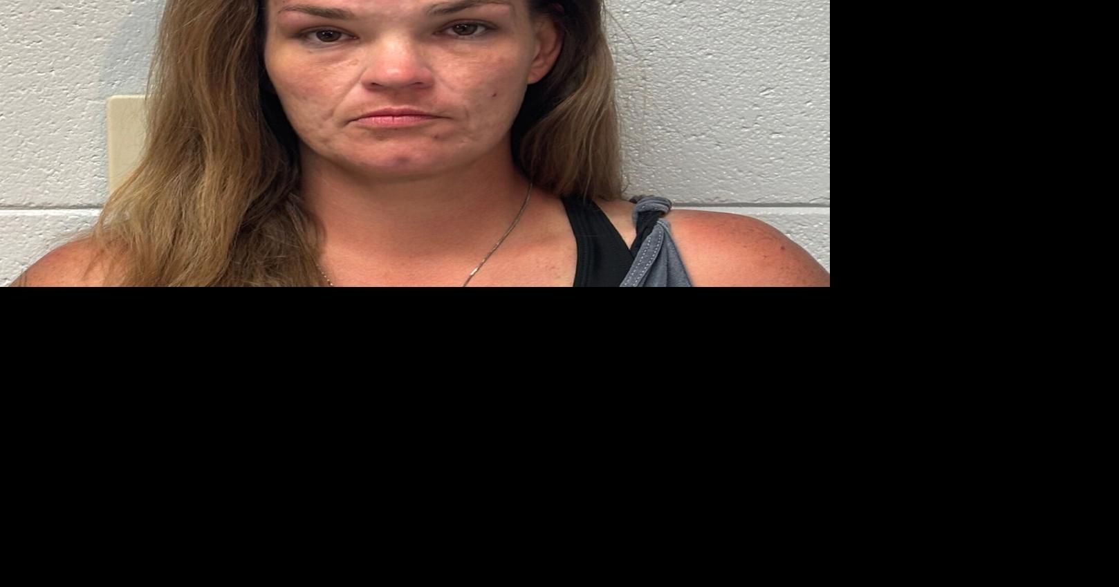 Dwight Woman Accused of Possessing Stolen Motor Vehicle in Grundy Co ...