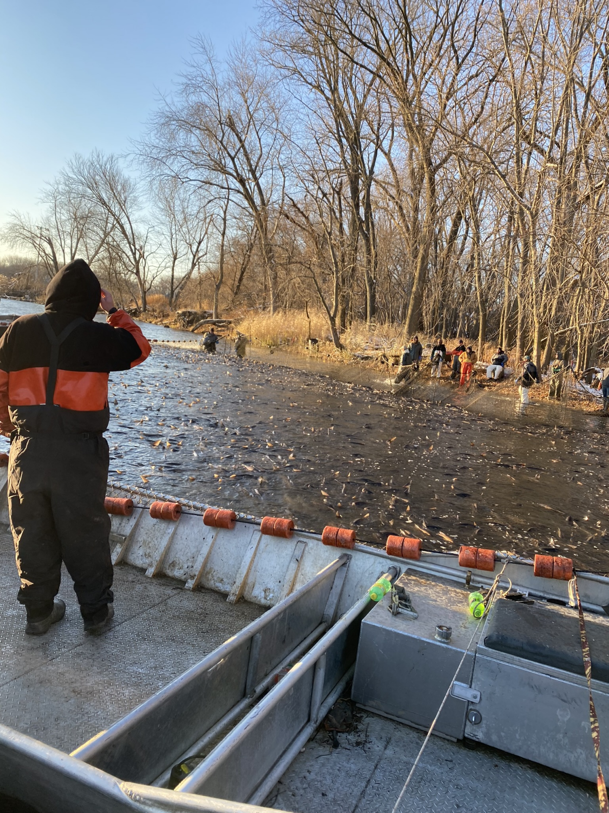 750,000 Pounds of Silver Carp Extracted | Local News | wcsjnews.com