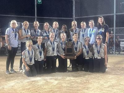 Braidwood Reed-Custer Junior High School Softball Team Won Class 2A ...