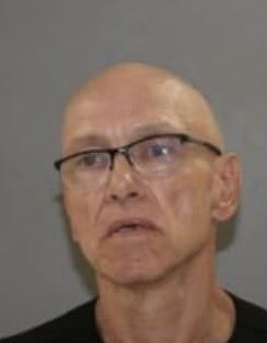 Livingston County Gang Member Accused of Possessing Several Firearms ...