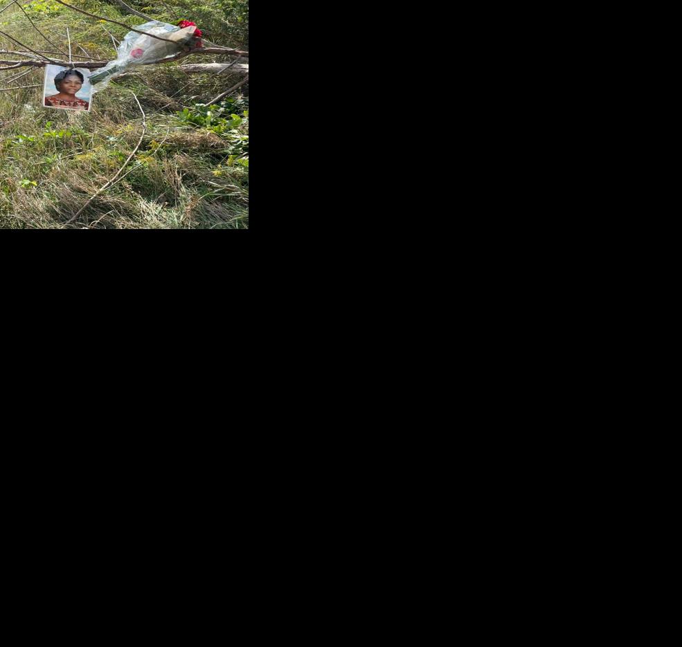 Jane Seneca Doe's Identity One Step Closer To Becoming Reality | Local ...