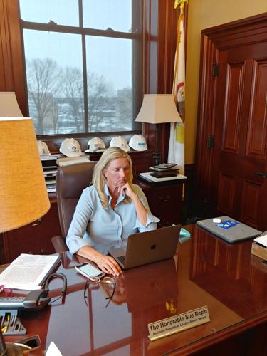 Senator Rezin's Fight to Support Mental Health of Minors | Local News ...