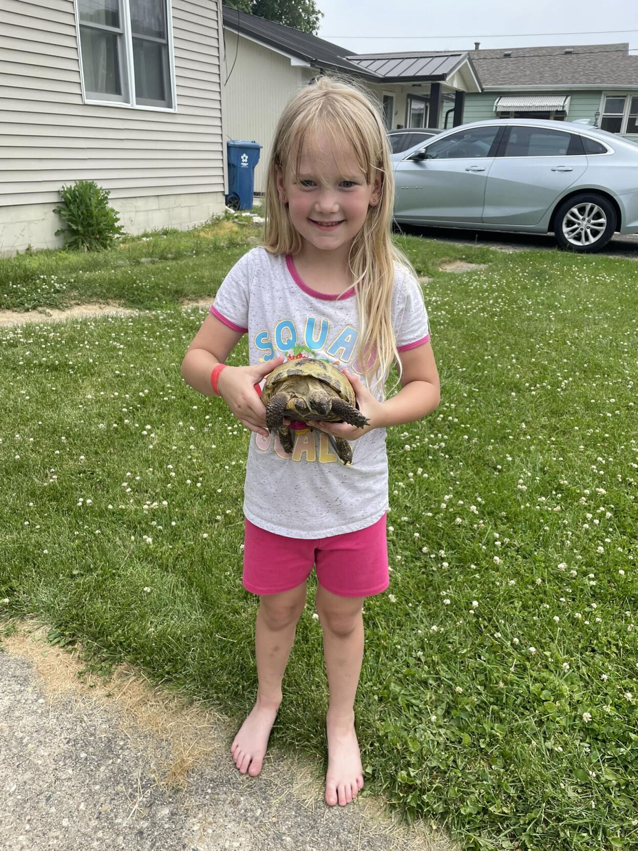 Turbo the Tortoise Takes 6-Day Trip | Local News | wcsjnews.com