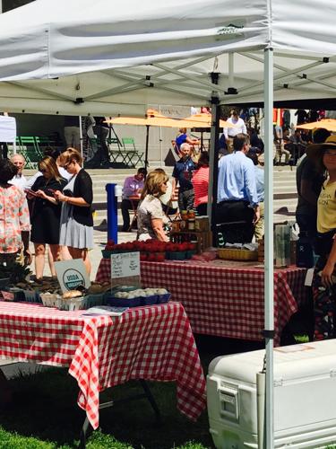 VIDEO | Rodney Square introduces downtown Wilmingtonians to eating ...