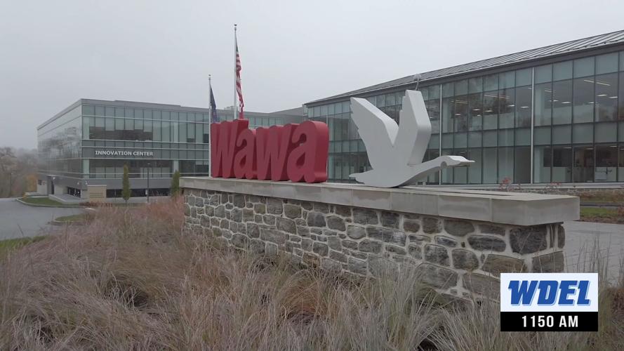 VIDEO | Wawa: 'Go ahead, play with your food!' | The Latest from WDEL ...