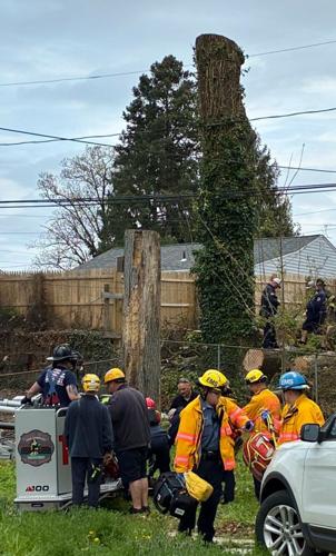 Man critically injured after being electrocuted 50 feet off the ground ...