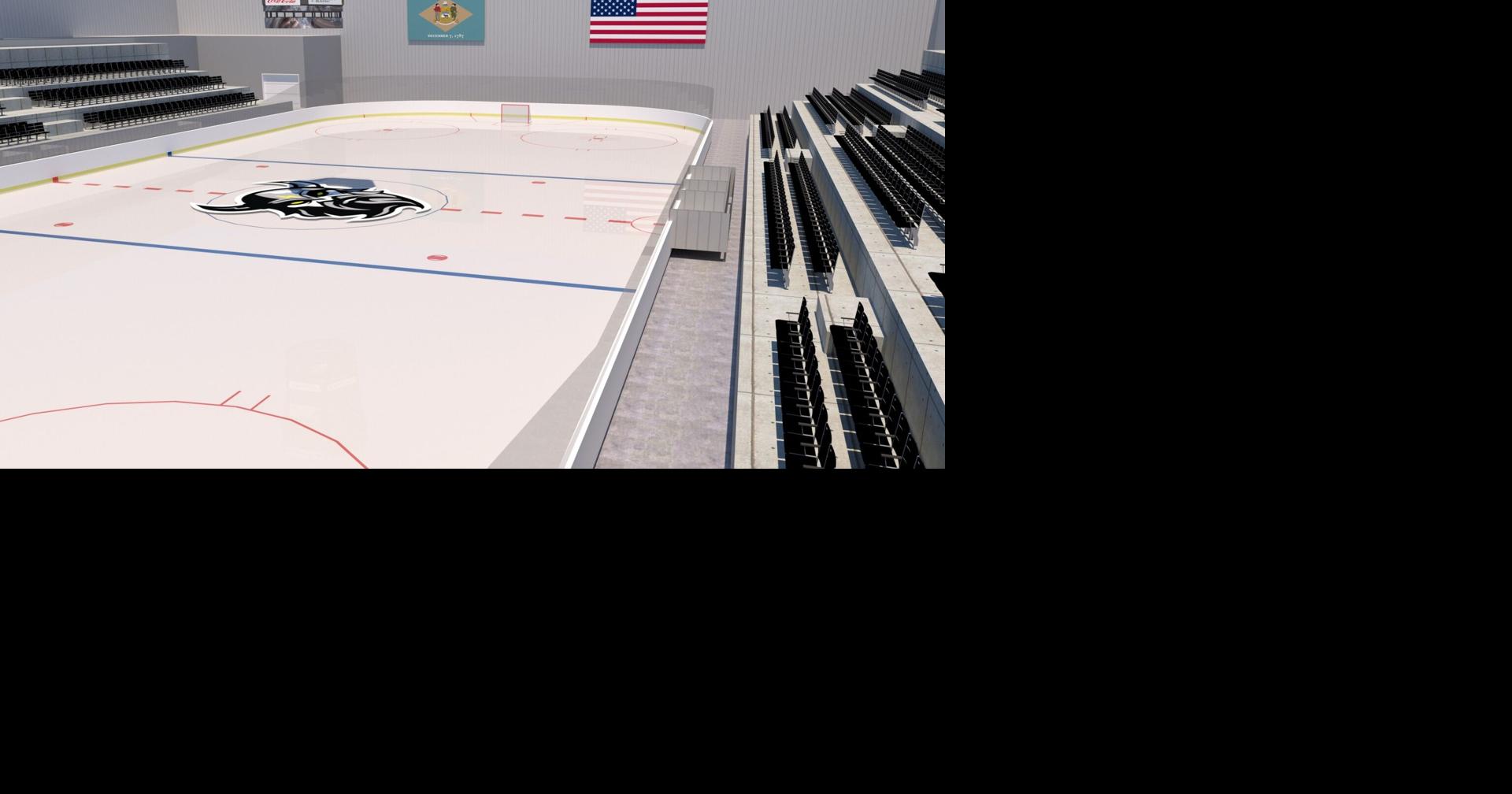 Competing Dover ice arena plans separated by minor league hockey | The ...