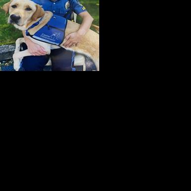 Delaware Capitol Police expands Facility Dog Program statewide | The ...