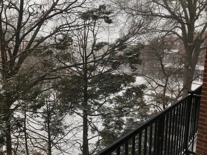 GALLERY | Scenes of snow in Delaware | | wdel.com