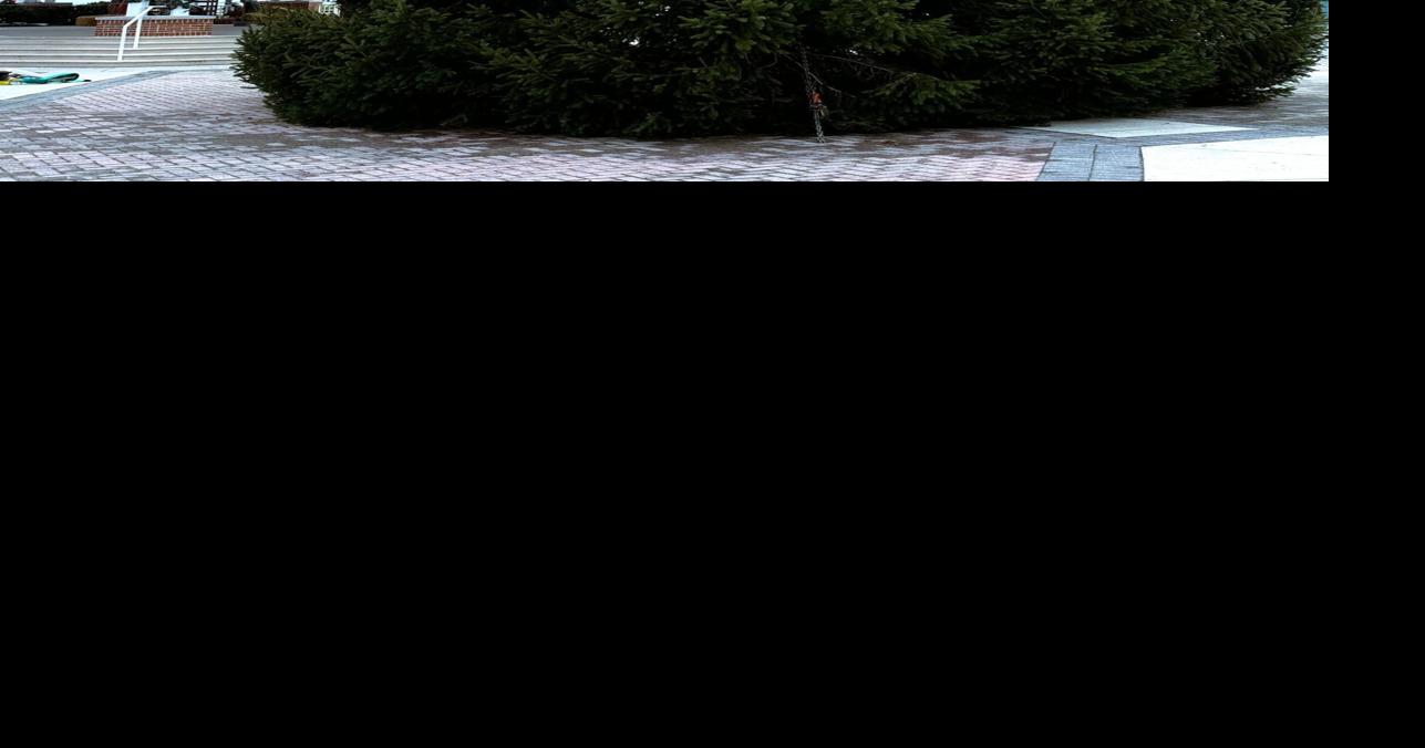 Another holiday tree mishap in Rehoboth Beach | The Latest from WDEL ...