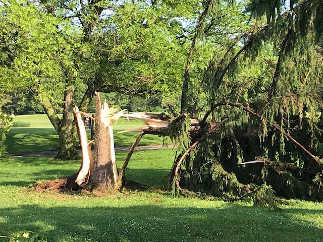 GALLERY | Mother Nature scores direct hit at Delcastle Golf Course ...