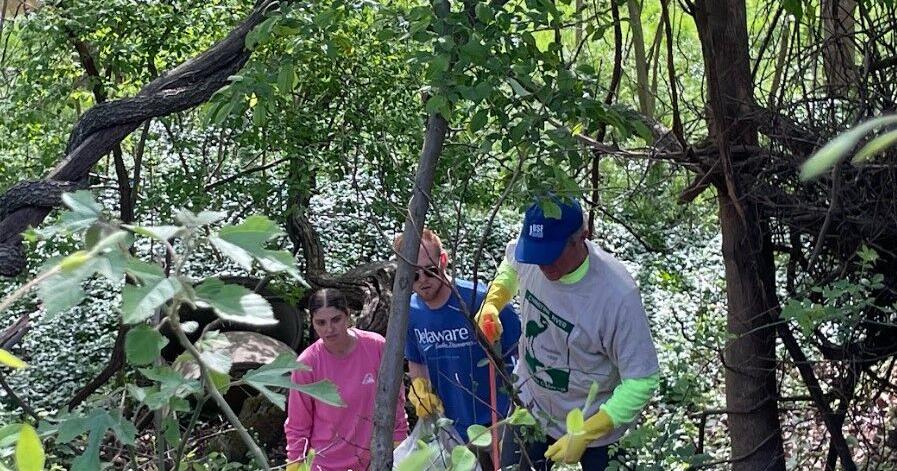 Gov. Carney and volunteers participate in DNREC's Christina River ...