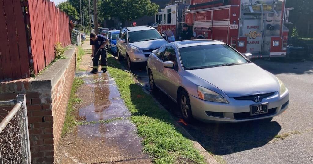 Elsmere Police investigating weekend homicide | The Latest from WDEL ...