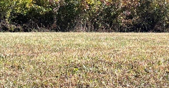 Drought concerns spread in parts of Delaware | The Latest from WDEL ...