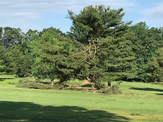 GALLERY | Mother Nature scores direct hit at Delcastle Golf Course ...
