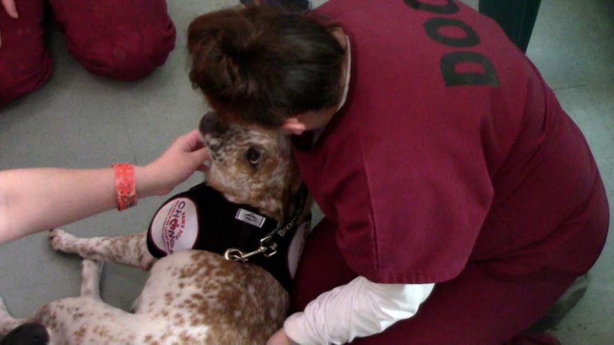 VIDEO | The healing power of pets behind bars in Delaware | The Latest ...