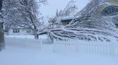 Update: Driving restrictions knocked down a notch following snowstorm ...