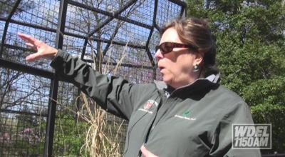 VIDEO: Brandywine Zoo director says goodbye to the animals after 36 ...