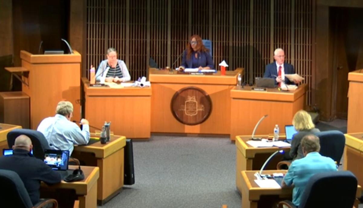 New Castle County Council pushing to eliminate at-large President role ...