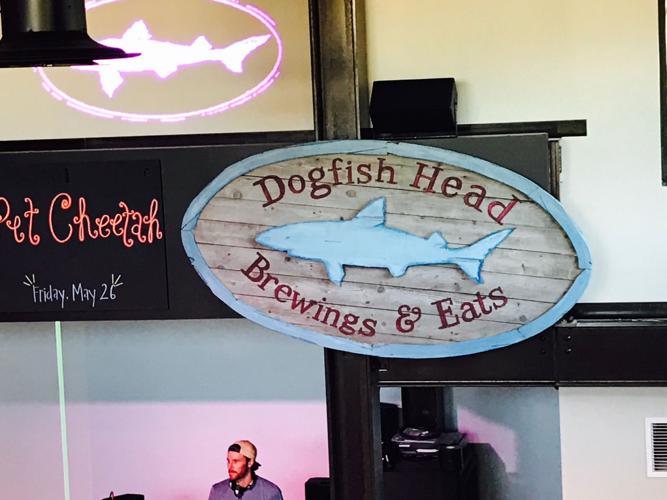VIDEO | Throw one back: Dogfish Head Craft Brewery to open expanded ...