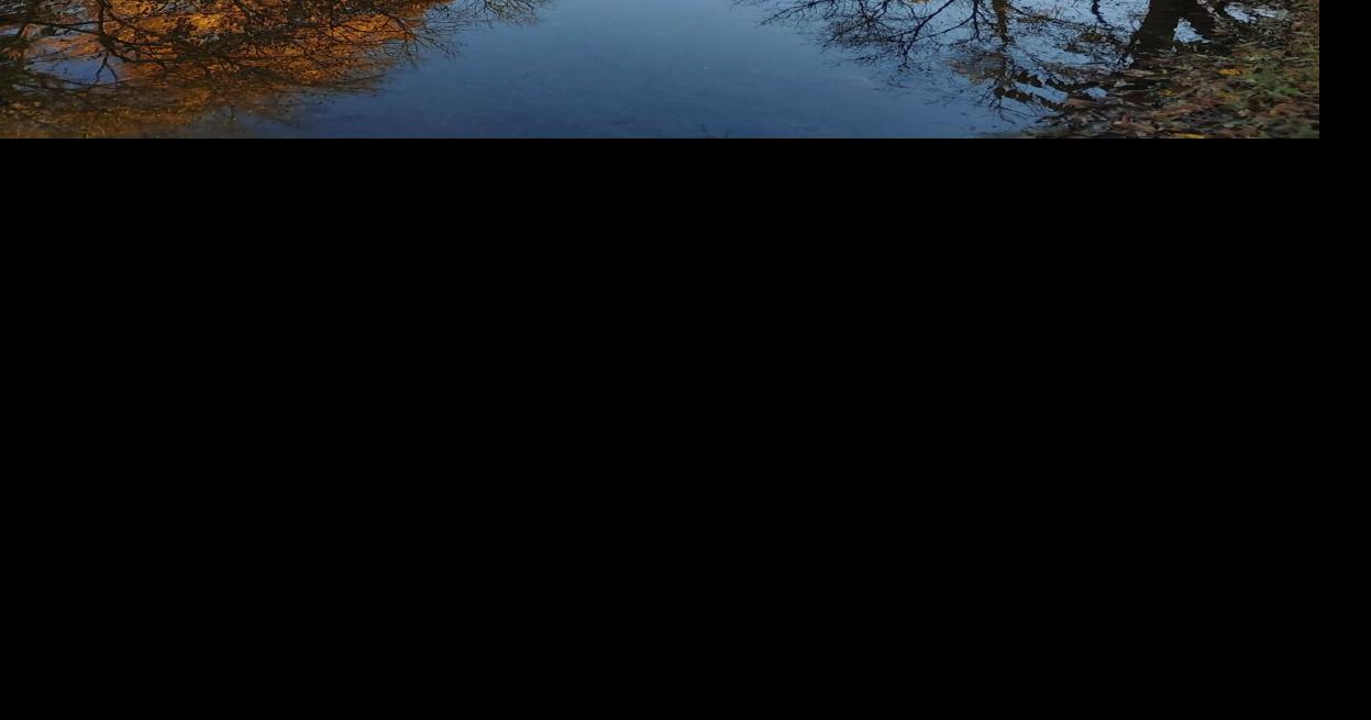 Hikers Beware | Shotgun deer hunting season getting underway at some ...