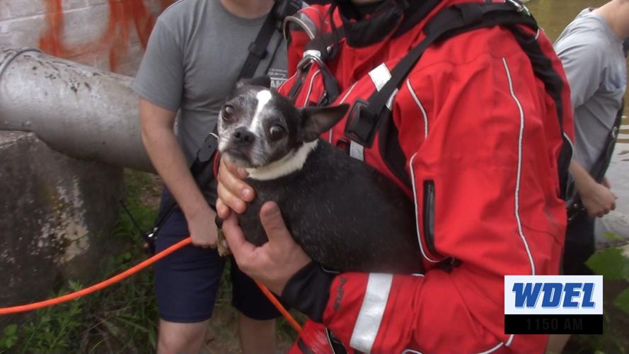 UPDATE | 'Terrierfied' on Smalleys Pond | The Latest from WDEL News ...