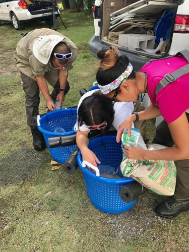 VIDEO | SUEZ Delaware Operations 'mussels' in to give Delawareans ...