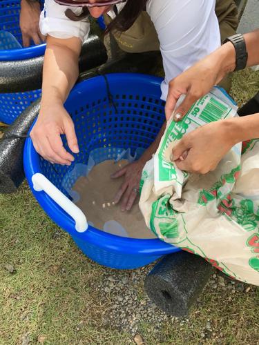 VIDEO | SUEZ Delaware Operations 'mussels' in to give Delawareans ...