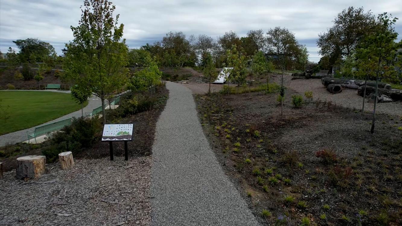 VIDEO | Wilmington's newest park makes you feel like you're "above it ...