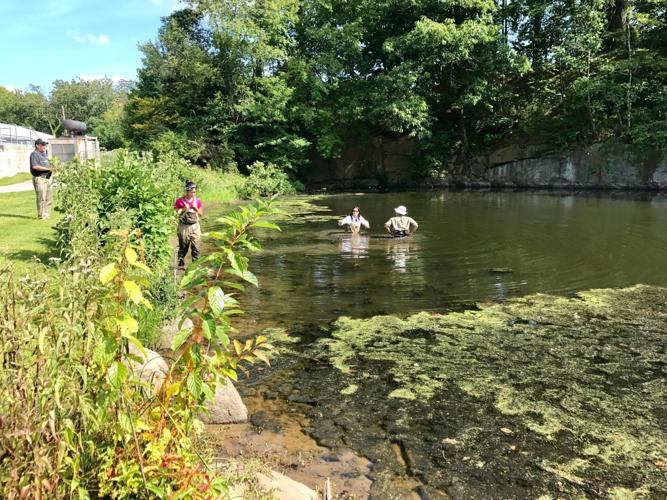 VIDEO | SUEZ Delaware Operations 'mussels' in to give Delawareans ...