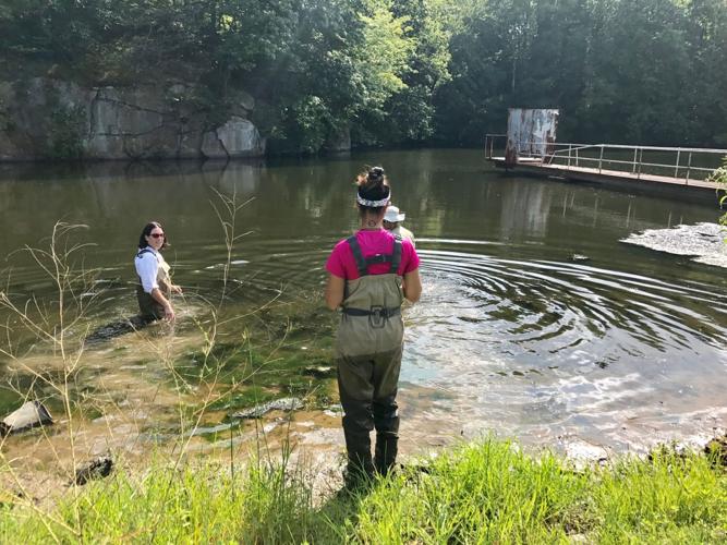 VIDEO | SUEZ Delaware Operations 'mussels' in to give Delawareans ...