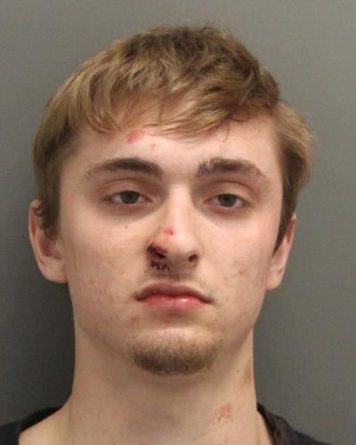 Marydel man charged in Hartly shots fired incident, ax wielding | The ...