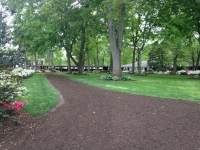 VIDEO: New testing awaits horses as DelPark opens Saturday | The Latest ...