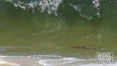 VIDEO: Cape Henlopen beaches reopen for swimmers | The Latest from WDEL ...
