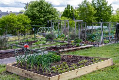 Wilm. City Council gives green light to Community Garden restoration ...
