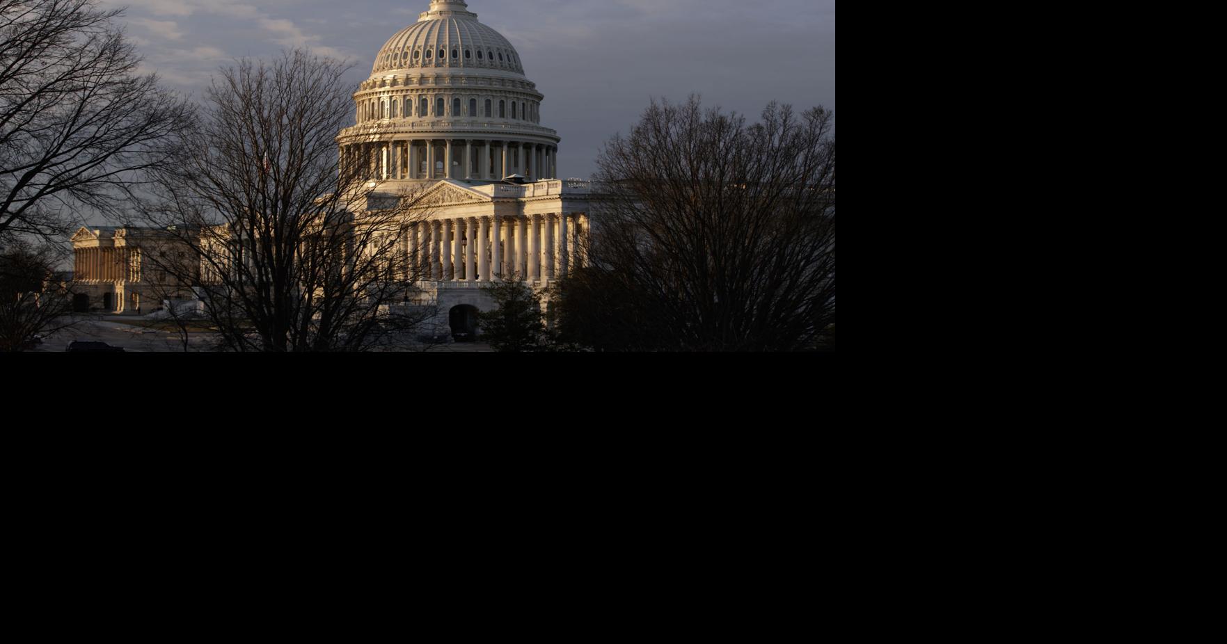Delaware senators vote against bill to reopen government, citing ...